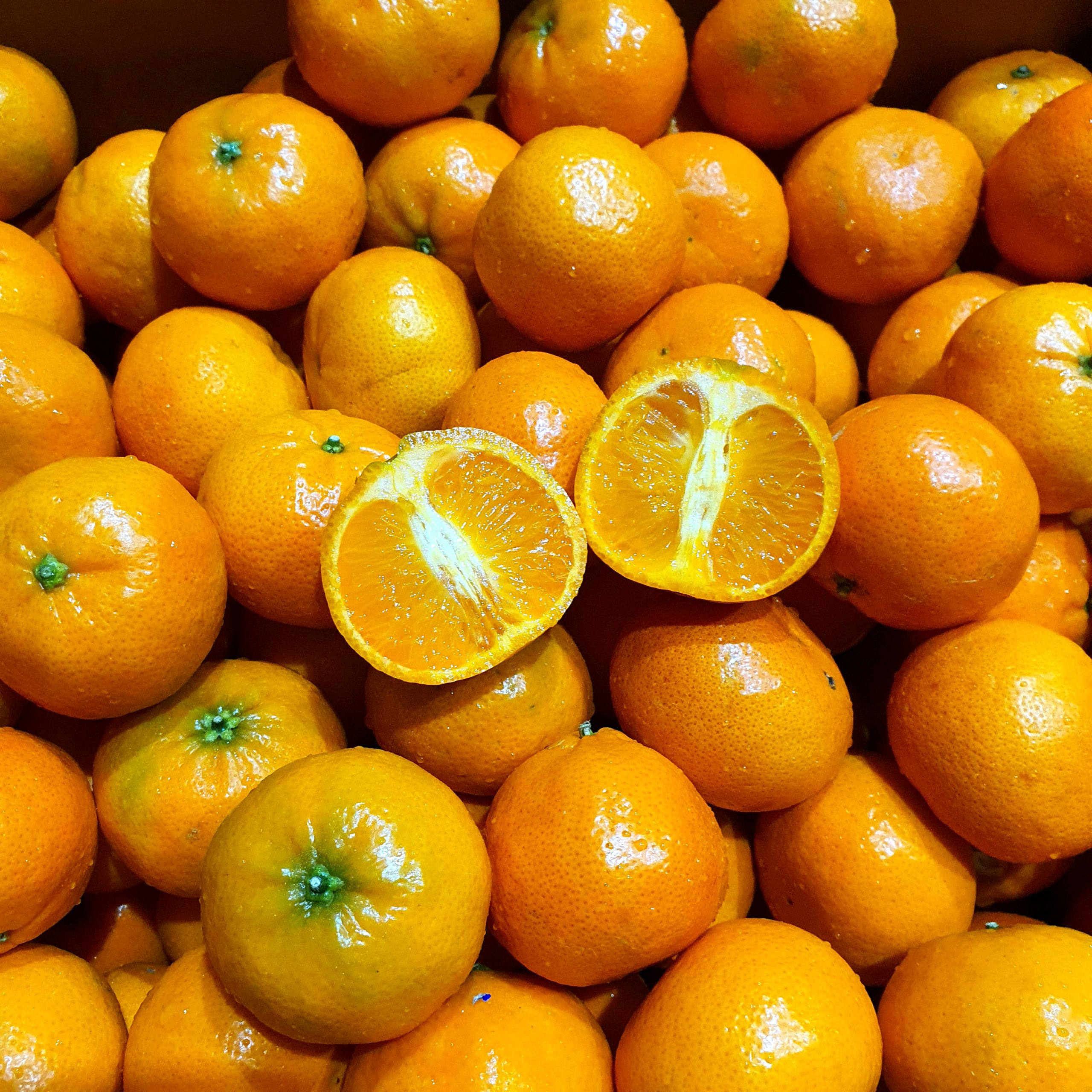 Afourer Mini Mandarins (1kg) – Fresh Collective