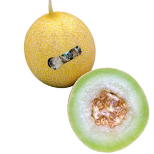 Archigold Mas Melon (1pc) – Fresh Collective