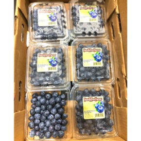 Family Tree Blueberries (125g x 3 Packs) – Fresh Collective