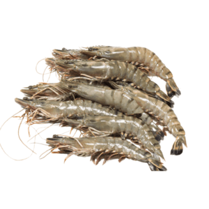 EB Tiger Prawn Roll (250g) – Fresh Collective