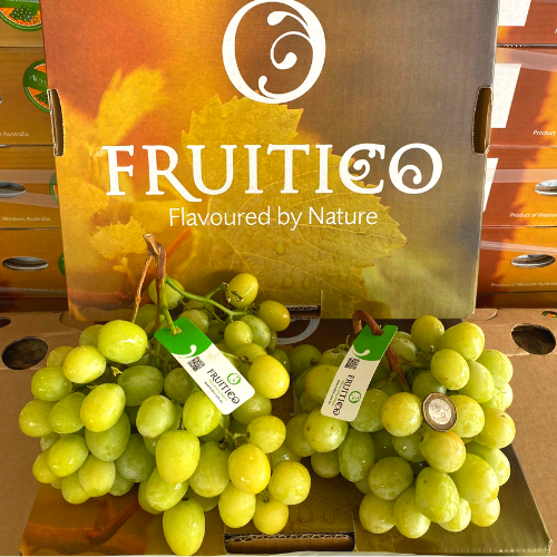Grapes Fruitico Autumn Crisp Green Seedless Grapes (1kg) Only for 13-21 ...