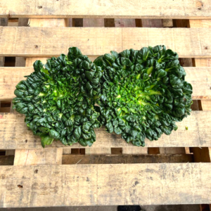 Fu Gui Cai 富贵菜 (+/-600g) – Fresh Collective