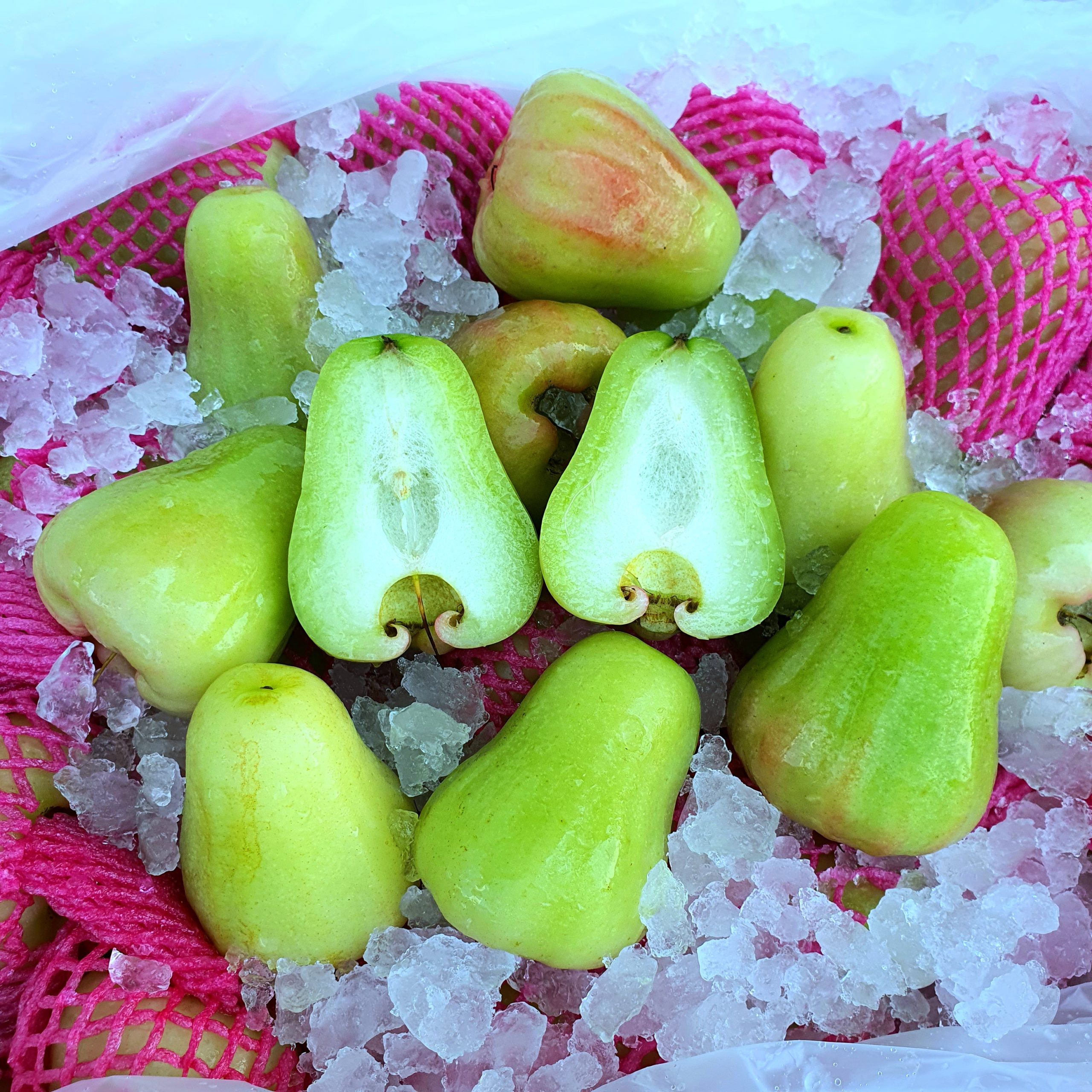 Green Jade Jambu (1kg) – Fresh Collective