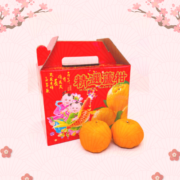 Fruits – Fresh Collective