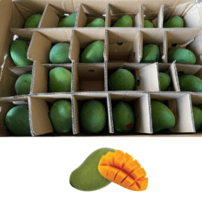 Surabaya Harumanis Mango (3pcs) – Fresh Collective