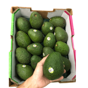 Aust JUMBO Shepard Avocado (2pcs) – Fresh Collective