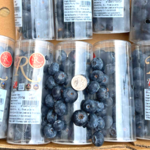 Morocco Jumbo Blueberries (200g pack) – Fresh Collective