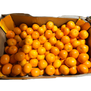 Orri Small Mandarins (1kg) – Fresh Collective