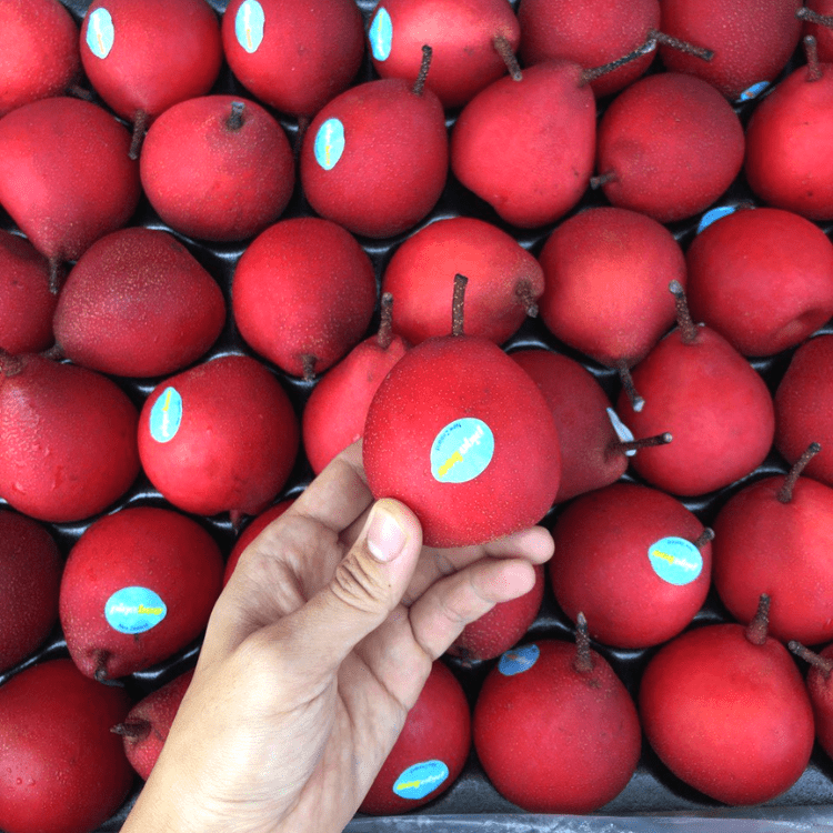 Piqaboo Red Pear Small (4pcs) – Fresh Collective