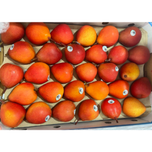 Piqa Boo Red Pear (3pcs) – Fresh Collective