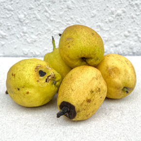UGLY Fragrant Pear (6 Pcs) – Fresh Collective