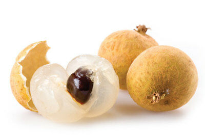 Thai Longan (1kg) – Fresh Collective