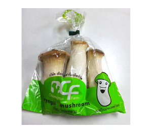 Steamboat – Fresh Collective