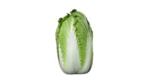 Wongbok Cabbage (1kg Cut Slice) – Fresh Collective