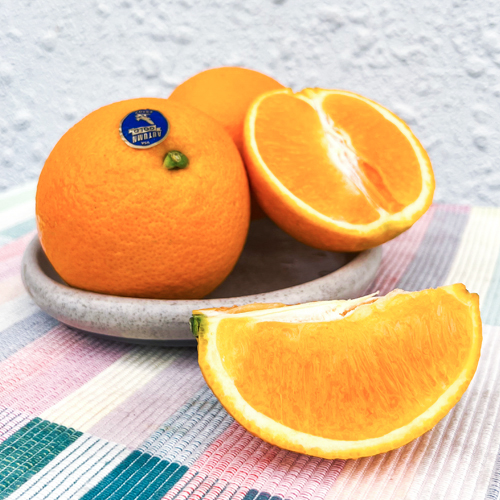 Bluejay Autumn Gold Navel Oranges Medium (5pcs) – Fresh Collective