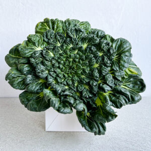 Fu Gui Cai 富贵菜 (+/-400g) – Fresh Collective