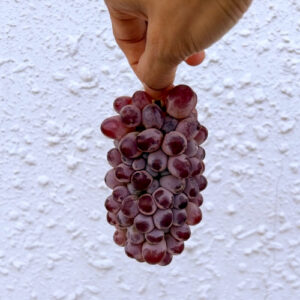 Jasmine Scented Seedless Grapes 茉莉香葡萄 (1bunch ~300g) – Fresh Collective