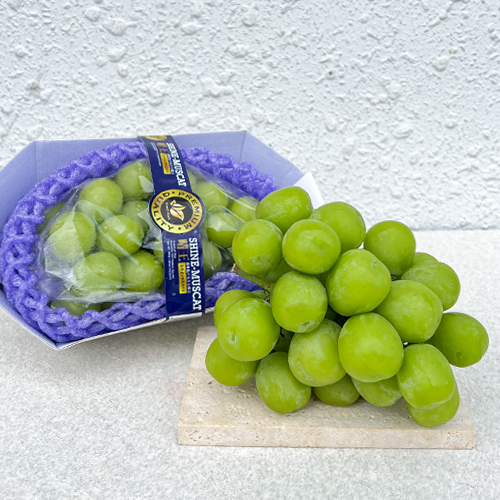 Shine Muscat Seedless Grapes (500g) – Fresh Collective